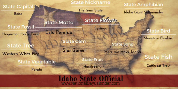 NATIONAL IDAHO DAY | May 17 - National Day Calendar