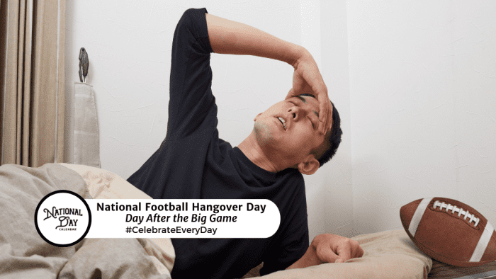 FEBRUARY 12, 2024 | NATIONAL FOOTBALL HANGOVER DAY | NATIONAL CLEAN OUT ...
