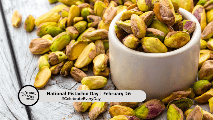 FEBRUARY 26, 2024 | NATIONAL LETTER TO AN ELDER DAY | NATIONAL SET A ...