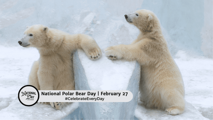 FEBRUARY 27, 2024 | NATIONAL POLAR BEAR DAY | NATIONAL RETRO DAY | NATIONAL KAHLUA DAY ...