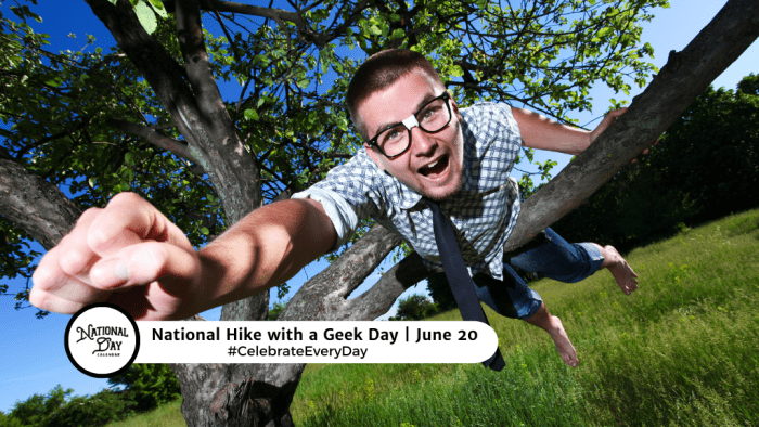 JUNE 20, 2024 | SUMMER BEGINS | NATIONAL SEASHELL DAY | NATIONAL KOUIGN ...