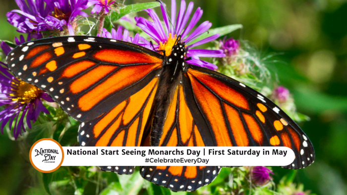 May 4, 2024 on the National Day Calendar - National Day Calendar