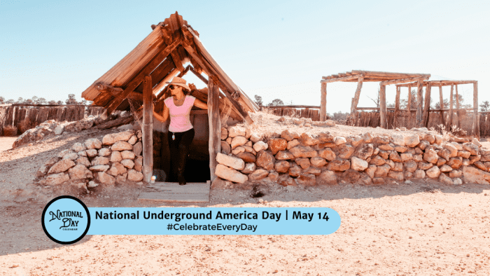 MAY 14, 2024 | NATIONAL DANCE LIKE A CHICKEN DAY | NATIONAL DECENCY DAY ... MAY 14, 2024 | NATIONAL DANCE LIKE A CHICKEN DAY | NATIONAL DECENCY DAY ...