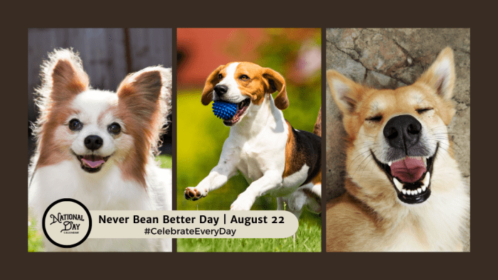 AUGUST 22, 2024 | NATIONAL BE AN ANGEL DAY | NEVER BEAN BETTER DAY ...
