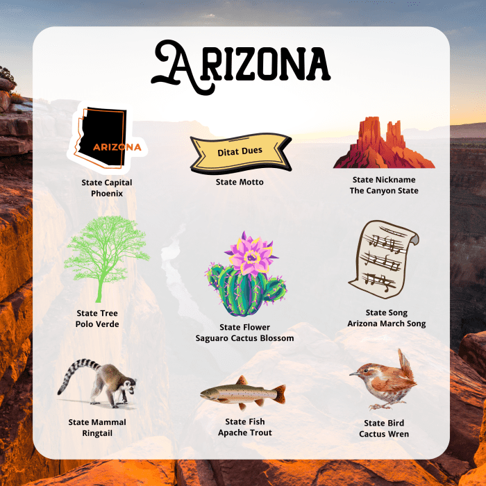 NATIONAL ARIZONA DAY | June 21 - National Day Calendar