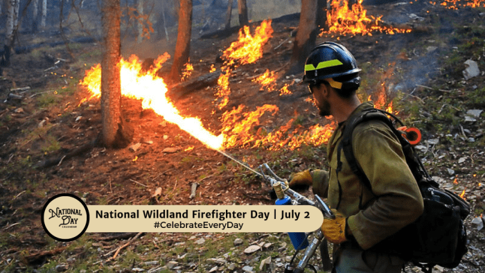 JULY 2, 2025 | NATIONAL ANISETTE DAY | NATIONAL WILDLAND FIREFIGHTER DAY - National Day Calendar