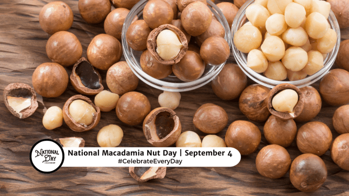 SEPTEMBER 4, 2024 | NATIONAL WILDLIFE DAY | NATIONAL SPICE BLEND DAY ...