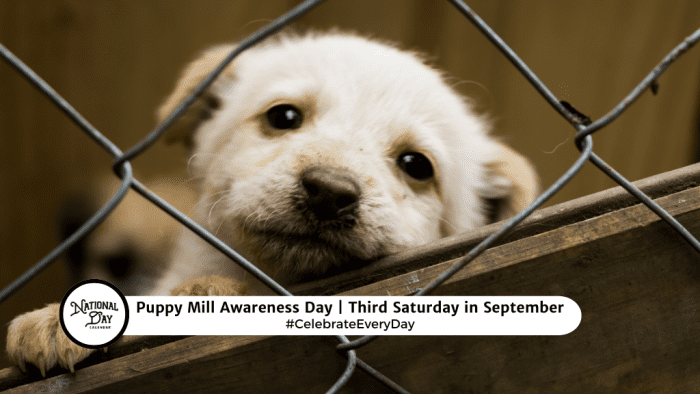 September 20, 2025, on the National Day Calendar - National Day Calendar