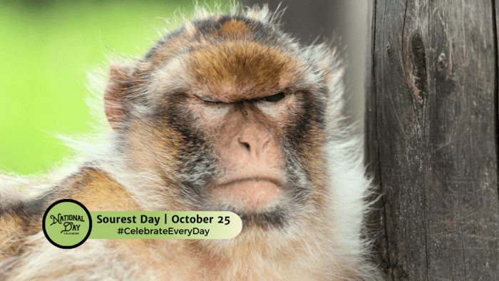 OCTOBER 25, 2023 | NATIONAL GREASY FOODS DAY | NATIONAL MERRI MUSIC DAY ...