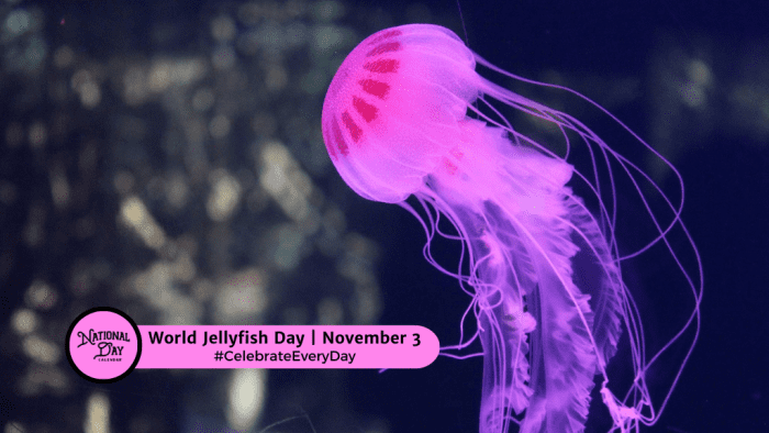 NOVEMBER 3, 2023 | NATIONAL SANDWICH DAY | NATIONAL JERSEY FRIDAY ...