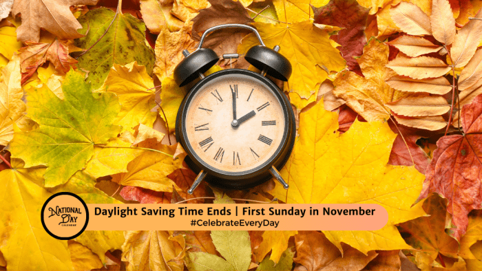 NOVEMBER 3, 2024 | NATIONAL SANDWICH DAY | DAYLIGHT SAVING TIME ENDS ...