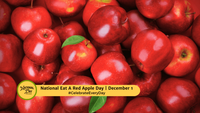 DECEMBER 1, 2025 | NATIONAL PIE DAY | CYBER MONDAY | NATIONAL EAT A RED ...