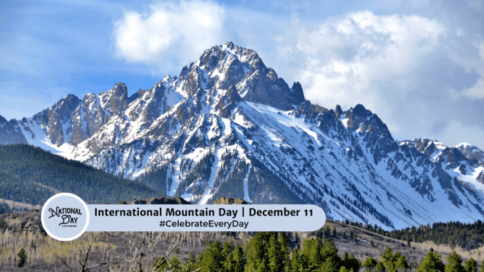 DECEMBER 11, 2023 | NATIONAL APP DAY | NATIONAL STRETCHING DAY ...