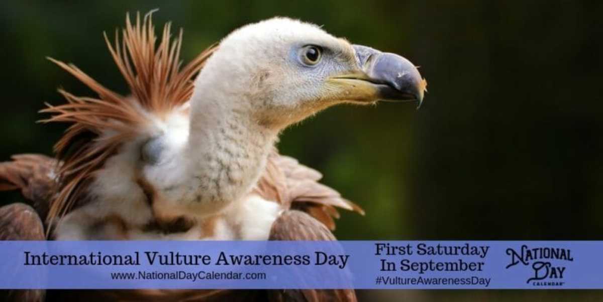INTERNATIONAL VULTURE AWARENESS DAY - First Saturday in September ...