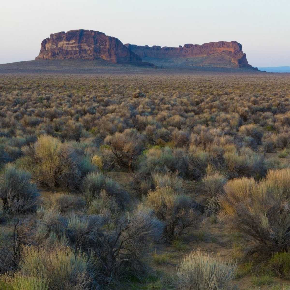 12 Oregon Ghost Towns - National Day Calendar