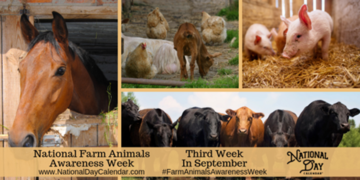 NATIONAL FARM ANIMALS AWARENESS WEEK - Third Week in September ...