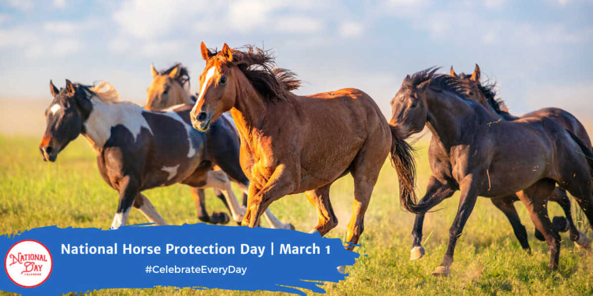 NATIONAL HORSE PROTECTION DAY - March 1 - National Day Calendar