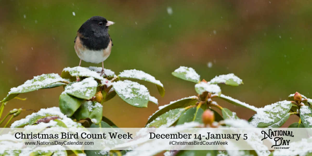 CHRISTMAS BIRD COUNT WEEK - December 14 - January 5 - National Day Calendar