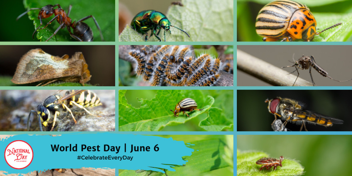 WORLD PEST DAY - June 6 - National Day Calendar
