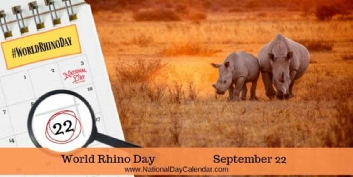 WORLD RHINO DAY - September 22 - National Day Calendar