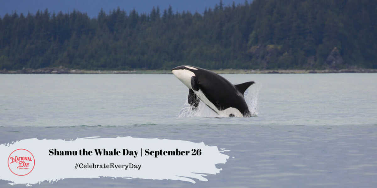 NATIONAL SHAMU THE WHALE DAY | September 26 - National Day Calendar