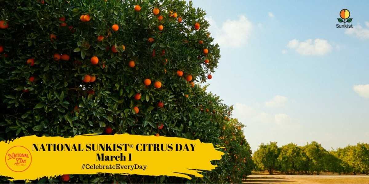 MARCH 1, 2023 | NATIONAL SUNKIST CITRUS DAY | NATIONAL PIG DAY ...