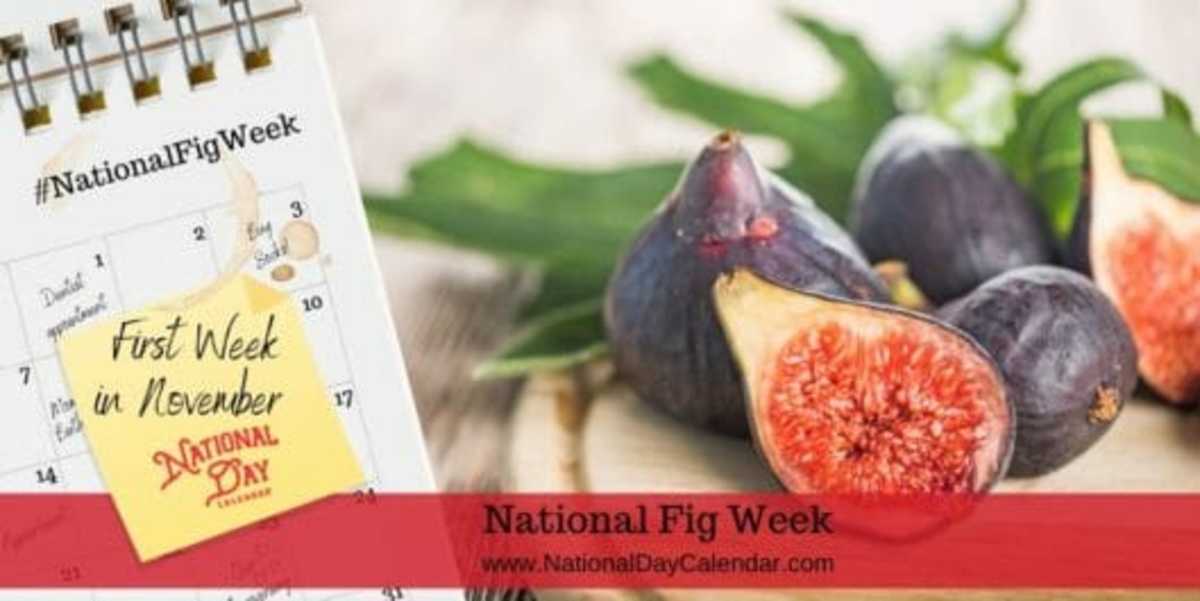 NATIONAL FIG WEEK - November 1-7 - National Day Calendar