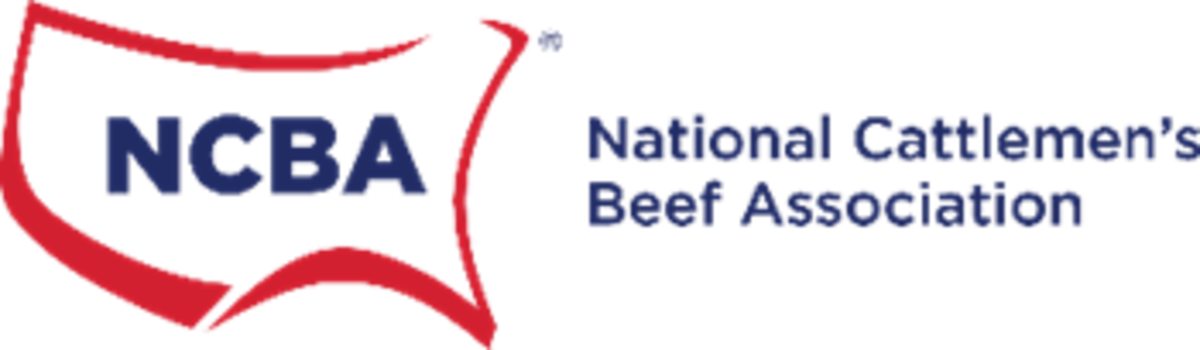 NATIONAL BEEF BURGER DAY | May 28 - National Day Calendar