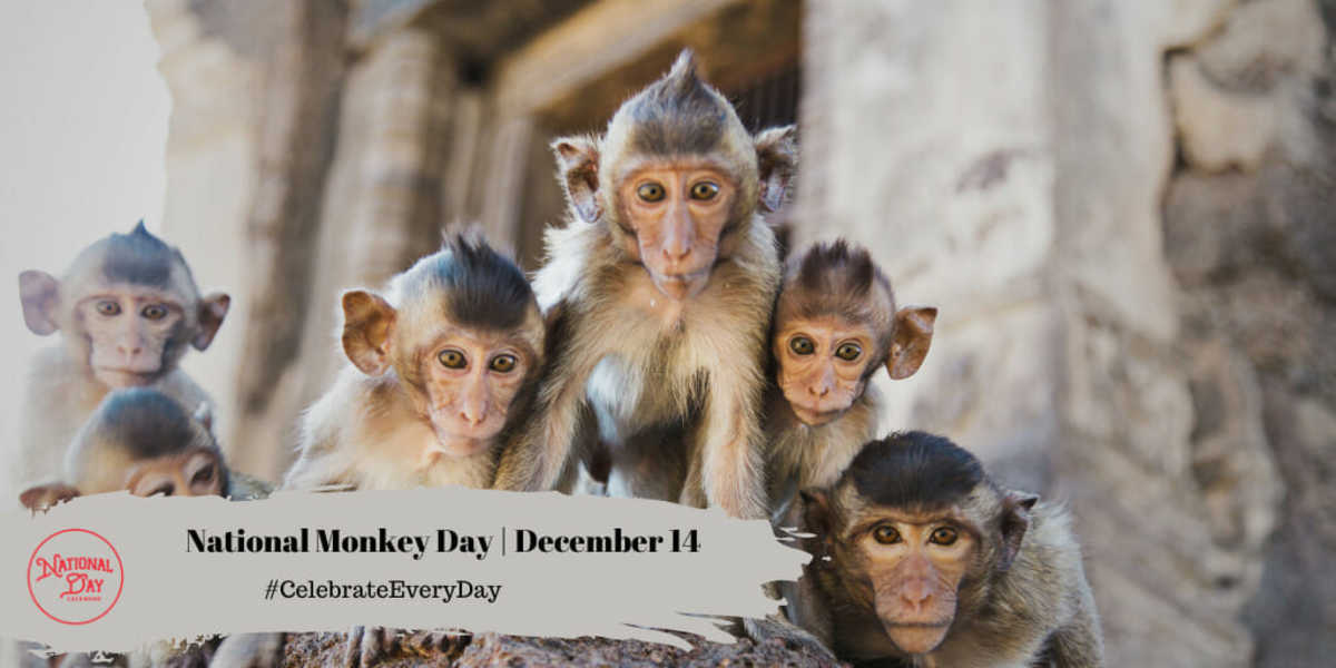 DECEMBER 14, 2022 | MONKEY DAY | NATIONAL BOUILLABAISSE DAY | NATIONAL ALABAMA DAY - National ...