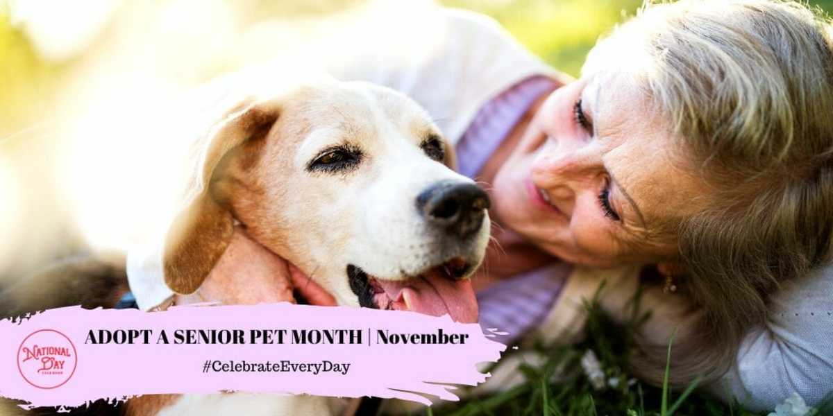 ADOPT A SENIOR PET MONTH | November - National Day Calendar
