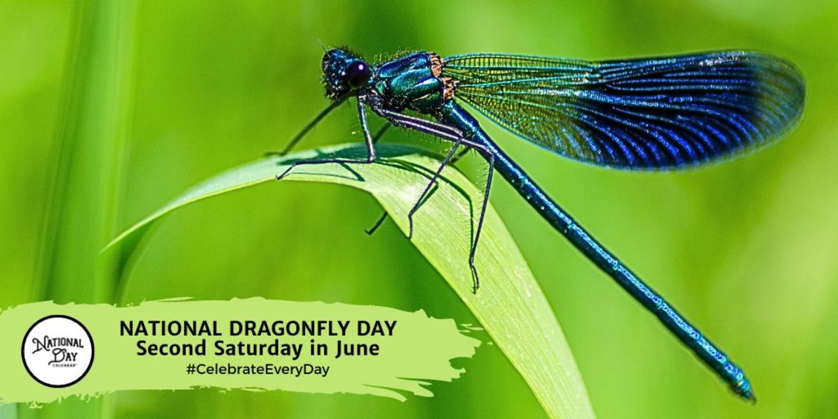 NATIONAL DRAGONFLY DAY | June 8 - National Day Calendar