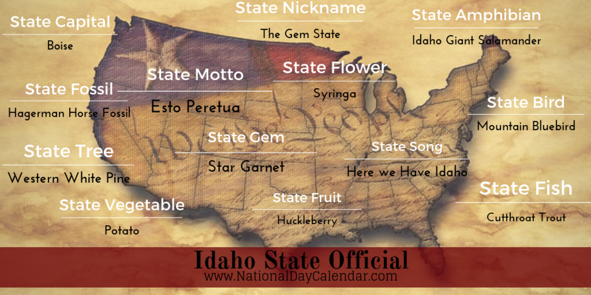 NATIONAL IDAHO DAY | May 17 - National Day Calendar
