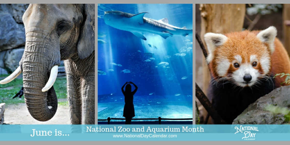 National Aquarium And Zoo Month at Bessie Luce blog