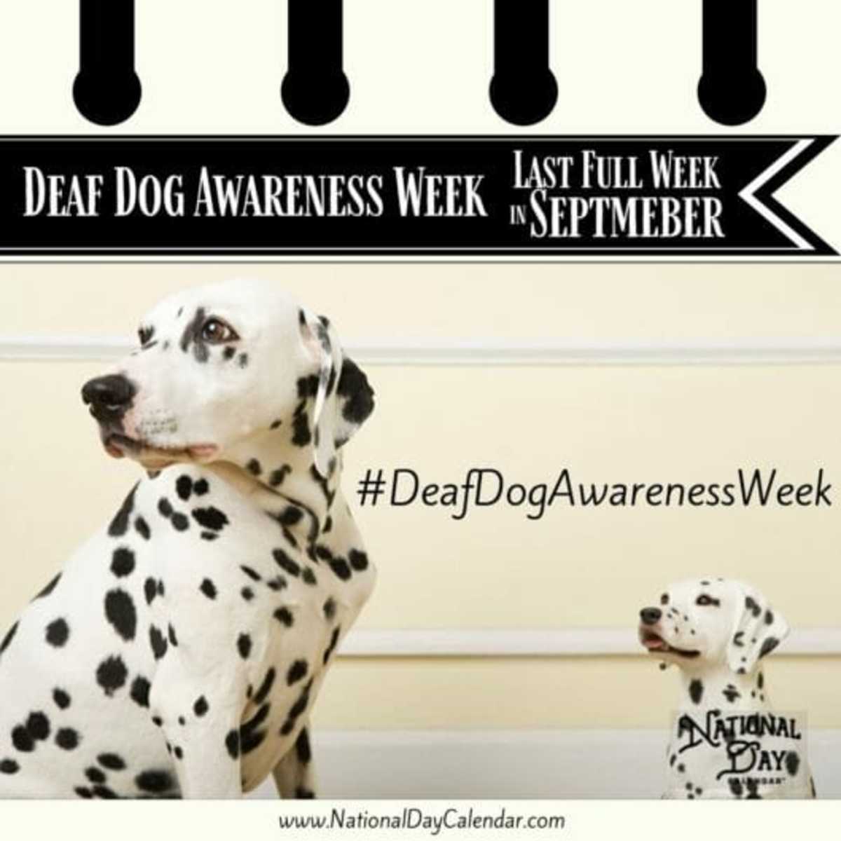DEAF DOG AWARENESS WEEK - Last Full Week in September - National Day ...