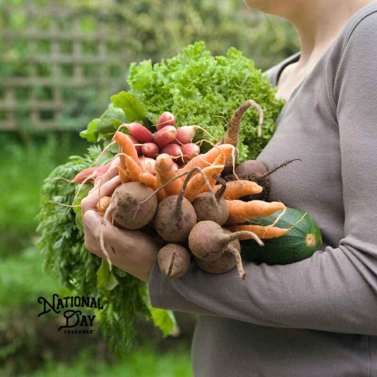 9 Reasons Gardening Improves Our Lives - National Day Calendar