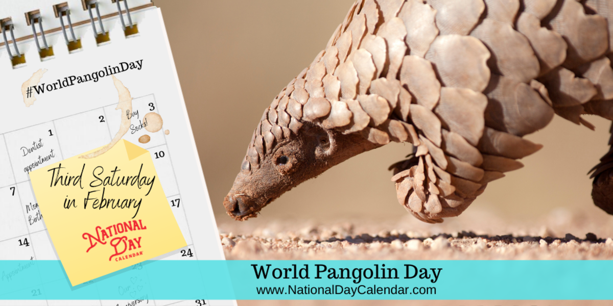 WORLD PANGOLIN DAY - Third Saturday in February - National Day Calendar