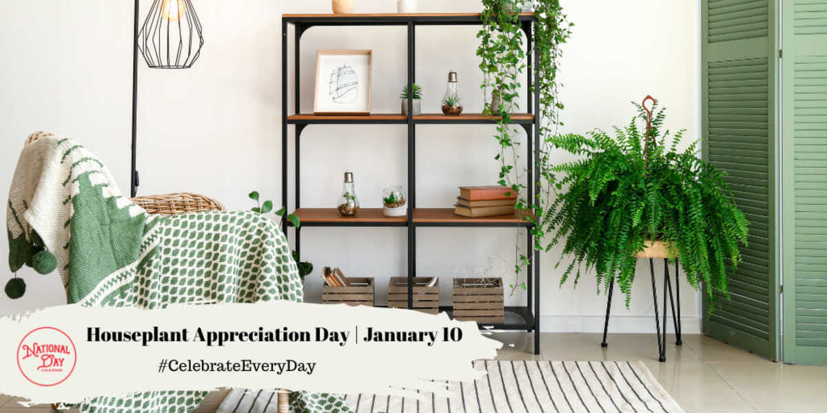 JANUARY 10, 2023 | NATIONAL HOUSEPLANT APPRECIATION DAY | SAVE THE ...