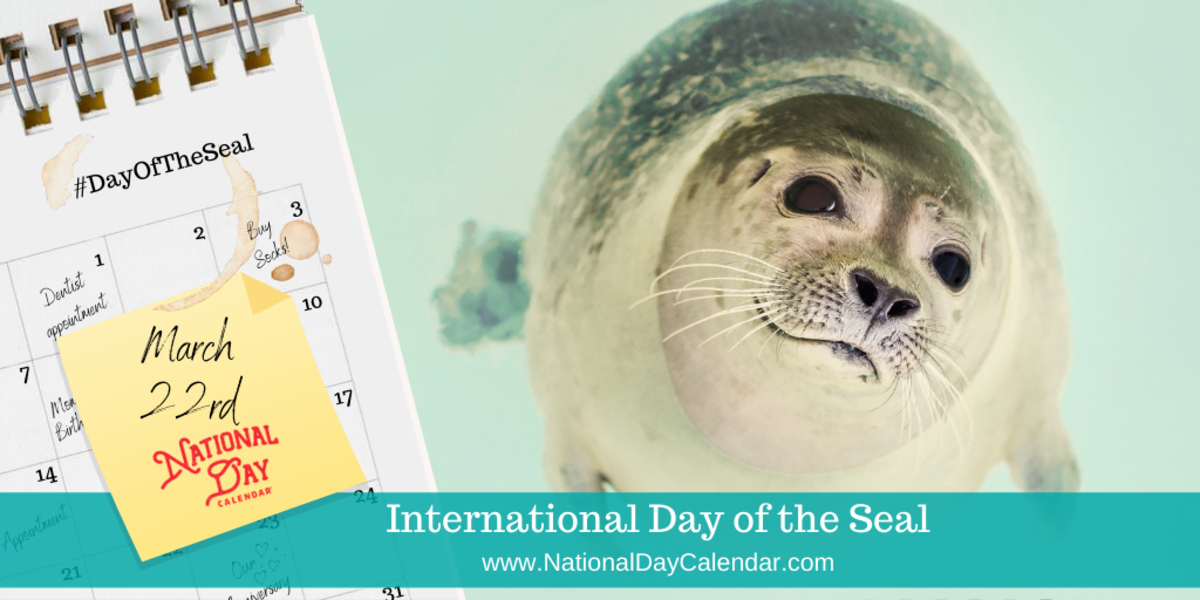 INTERNATIONAL DAY OF THE SEAL - March 22 - National Day Calendar