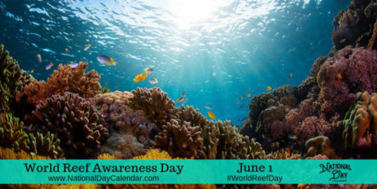 NEW DAY PROCLAMATION | WORLD REEF AWARENESS DAY - June 1 - National Day ...