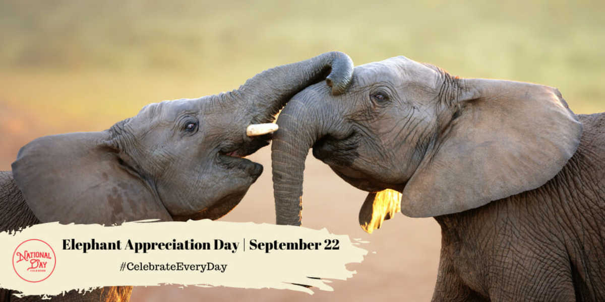 NATIONAL ELEPHANT APPRECIATION DAY | September 22 - National Day Calendar