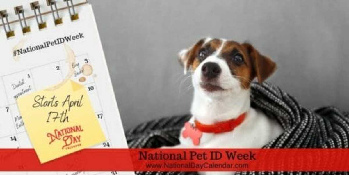 NATIONAL PET ID WEEK - Begins April 17 - National Day Calendar