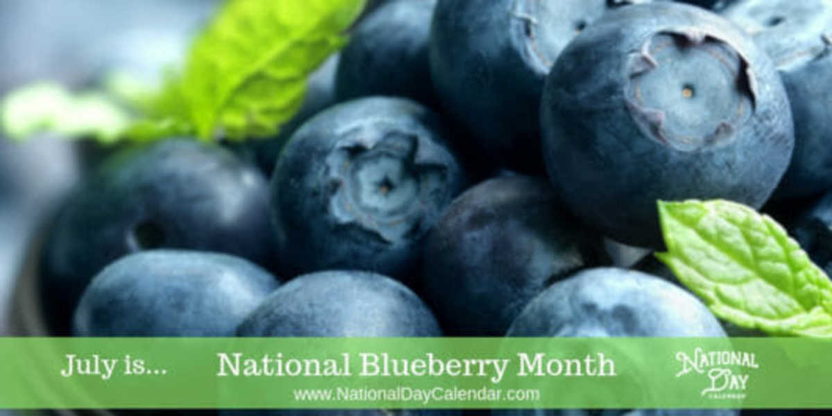NATIONAL BLUEBERRY MONTH - July - National Day Calendar
