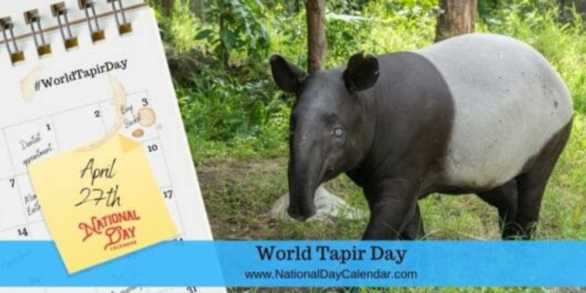 WORLD TAPIR DAY - April 27 - National Day Calendar