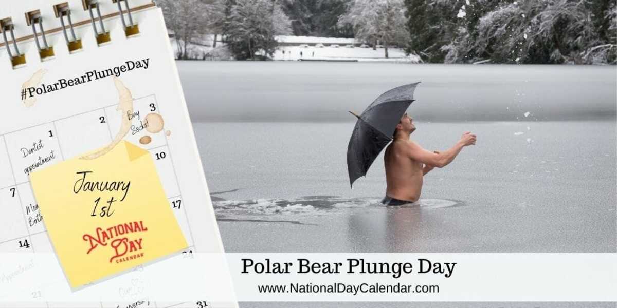 Polar Bear Plunge
