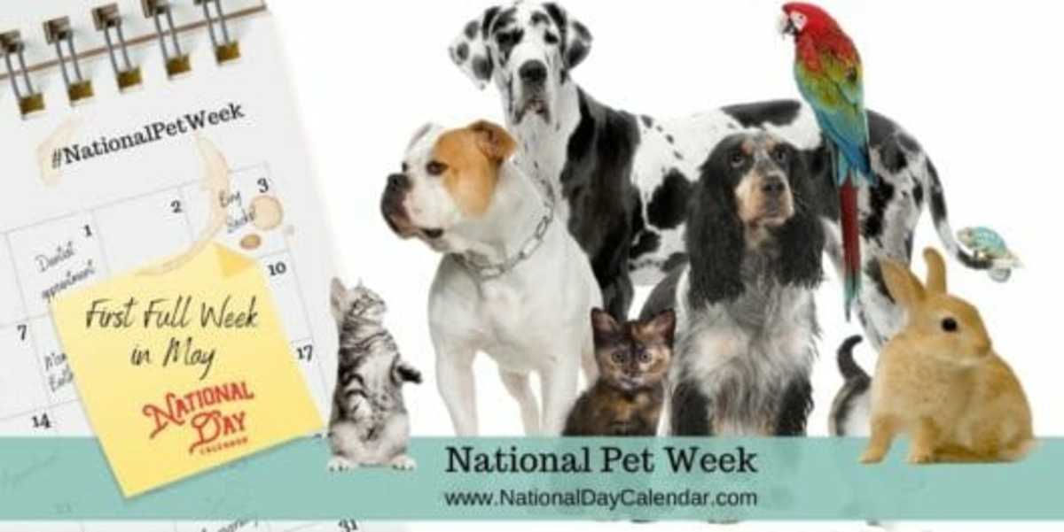 NATIONAL PET WEEK - First Sunday through Saturday in May - National Day ...