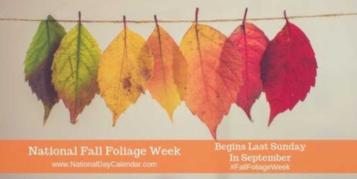 NATIONAL FALL FOLIAGE WEEK - Begins Last Sunday in September - National ...