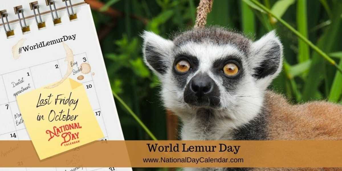 WORLD LEMUR DAY - Last Friday in October - National Day Calendar