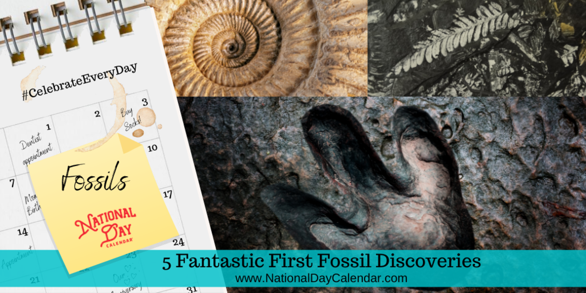 5 FANTASTIC FIRST FOSSIL DISCOVERIES - National Day Calendar