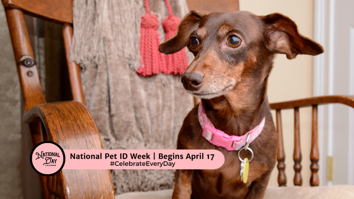 NATIONAL PET ID WEEK - Begins April 17 - National Day Calendar