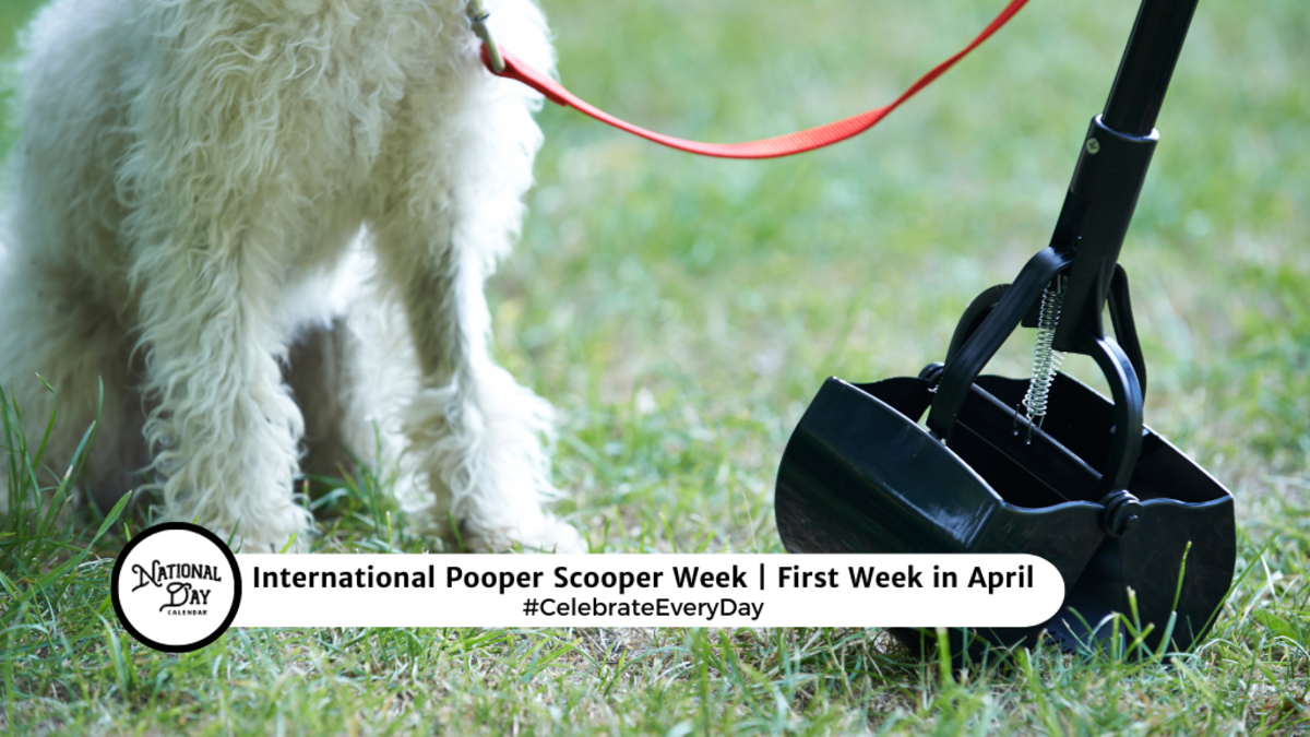 Dog Poop Soup Amazon.com : Bodhi Dog Complete Poo Pack 24" Pooper